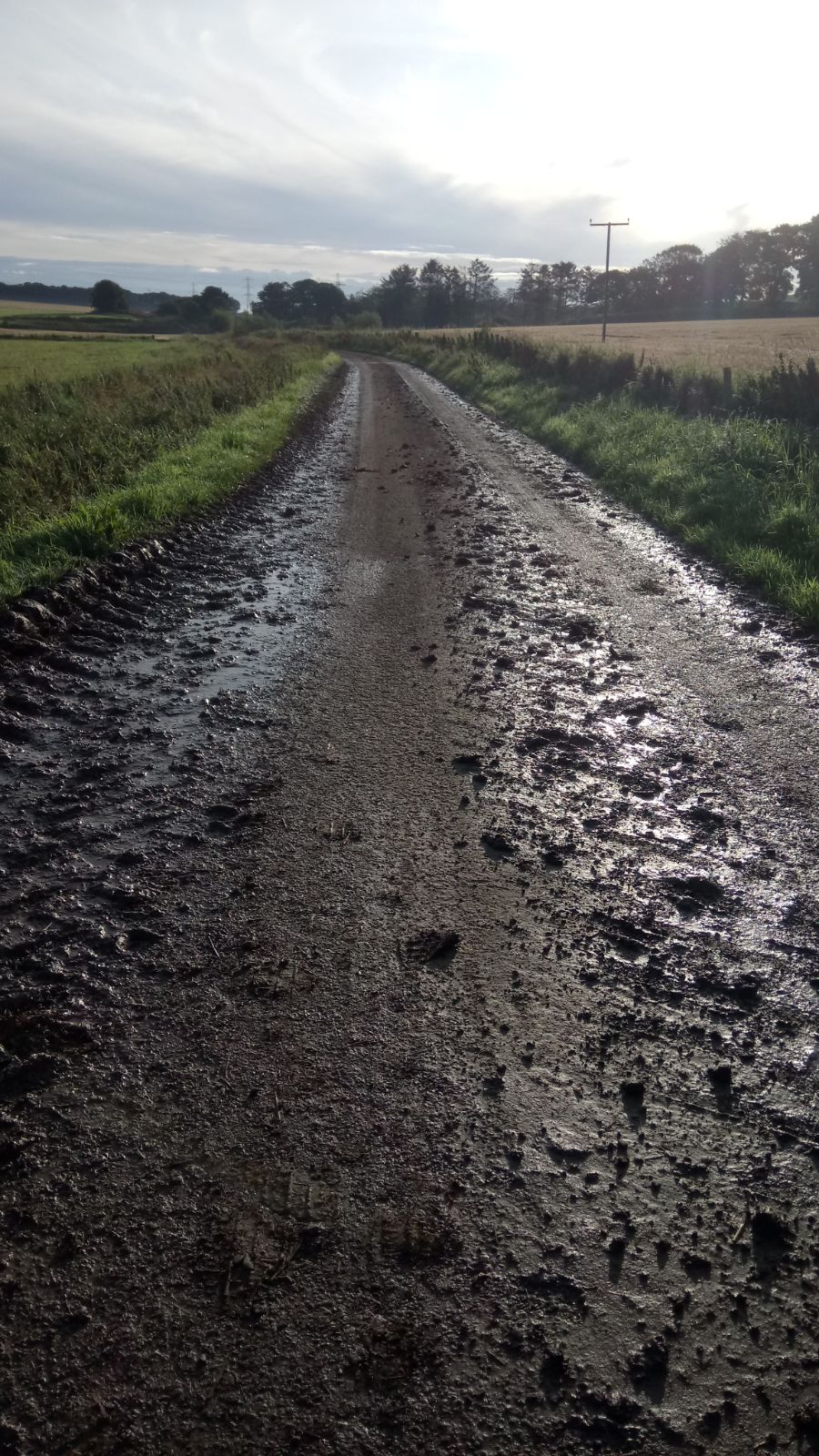 Messy Road - Ride the North