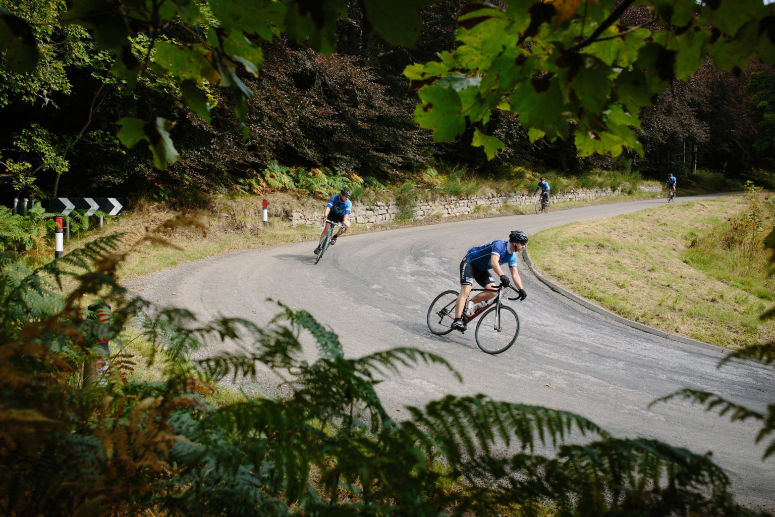 Gallery - Ride the North